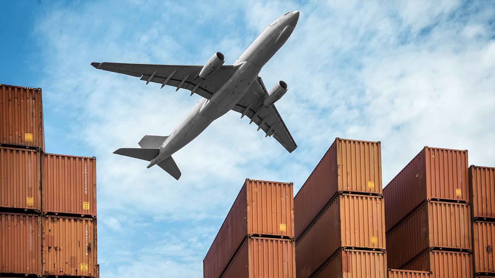 International Relocation Service | MyRelo - International Moving